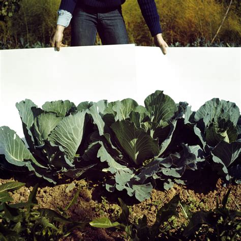 Volume At The Oslo Architecture Triennale Archis