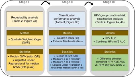 Model Selection Approach And Statistical Analysis Utilized In Our Download Scientific Diagram