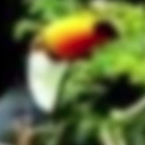 Karolina Lehotska On Linkedin 🖥️ For All Gis Web Applications Developers A Very Useful Post