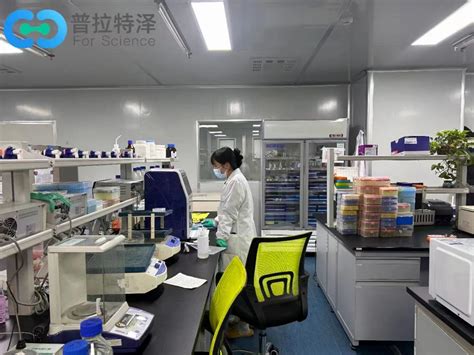 Cck8实验的过程中的问题剖析和解决方案