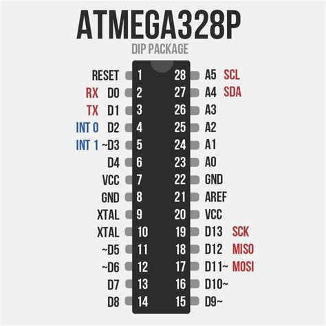 Datasheet Microcontroller Everything You Need To Know