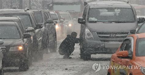눈 오는 날 운전 할 때 주의사항은 1일 1짤