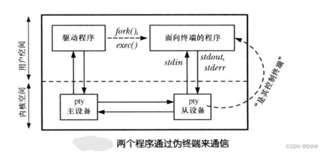 伪终端 Csdn博客