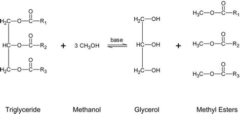Transesterification Reaction Download Scientific Diagram