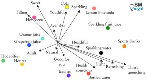 Perceptual Map Explained Sm Insight