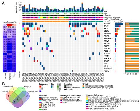 【中国声音】脊髓星形细胞瘤基因组学研究：全外显子测序揭示脊髓星形细胞瘤突变谱 脑医汇