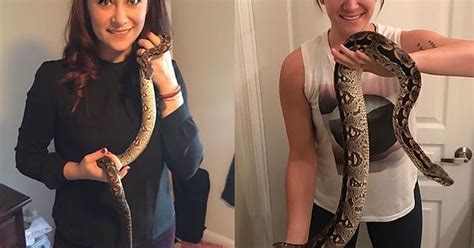 Dumerils Boa Growth 2 Years Album On Imgur