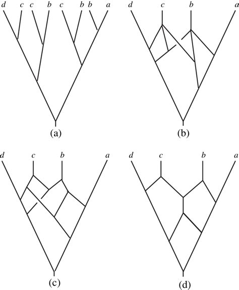 A Mul Tree T A Together With 3 Phylogenetic Networks B C And Download Scientific
