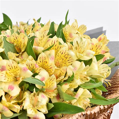 Order Yellow Peruvian Lilies Bouquet Online Same Day Delivery Uae