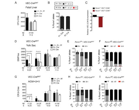 Runx1 Is Required In Vec Cre Ert Expressing Cells At All Times A