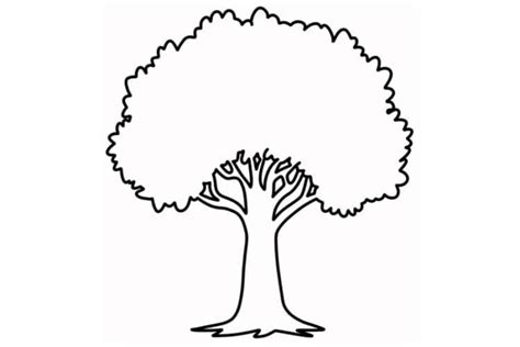 Tree Outline Free Printable Tree Template Shapes