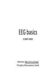 Introduction To EEG Basics Principles Reading Suggestions And Course Hero