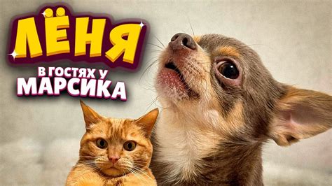 Лёня в гостях у Марсика Youtube