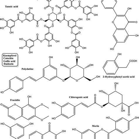 Major Phenolics Found In Leaves Aqueous Extract 66 Download