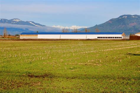 Composting Or Compost Heap Stock Image Image Of Ingredients 21266669