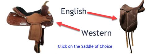 English Saddle Vs Western
