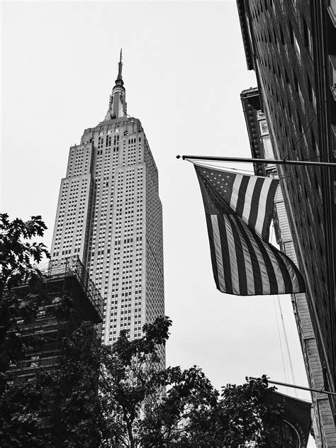 4 000 Grossesvulves Banque Dimages Et Photos Libres De Droit