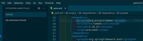 No Extension Found VSCodium Issue Microsoft Vscode Lombok GitHub