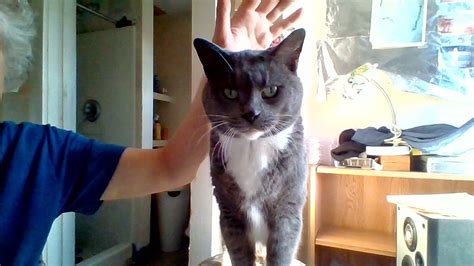 Johnny Azer Sex Pistols Request God Save The Queen Youtube