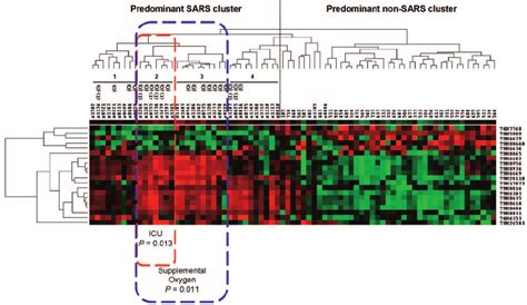 Two Way Hierarchical Clustering Analysis Complete Linkage Of The Download Scientific Diagram