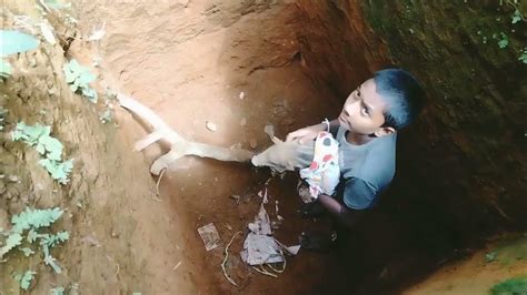 වලකට වැටුන වල්ඌරු පැටියෙක් බලන්න ගියා මචං 🐖🐖 Bro I Went To See A Wolf Cub That Fell Into A