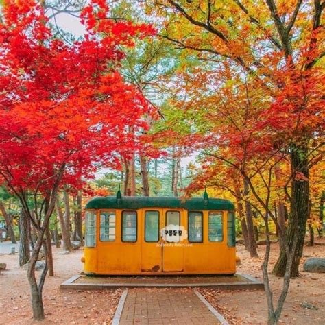 가을 여행지 추천 베스트 50 지역별 정리