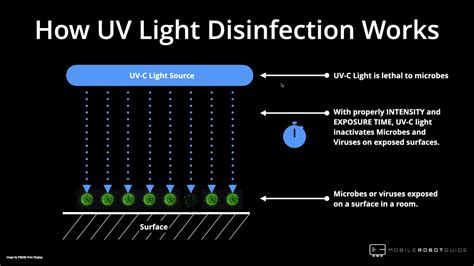 Uv Light Efficacy Test As Per Usp At Antonio Fore Blog