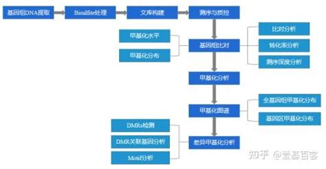 一文了解dna甲基化测序方法和研究思路 知乎