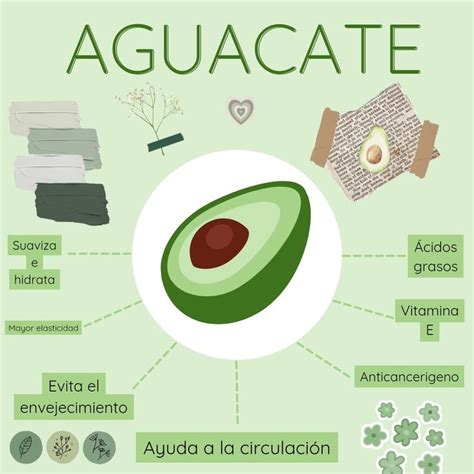 Beneficios Del Aguacate🥑