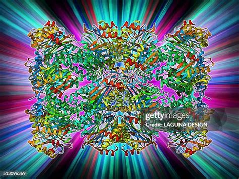 30 Archaea Bacteria High Res Illustrations Getty Images