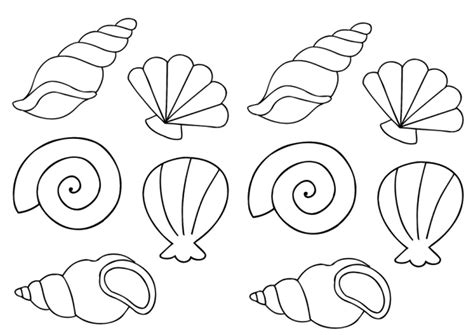 Shell Colouring Page Artofit Shell Colouring Page Artofit
