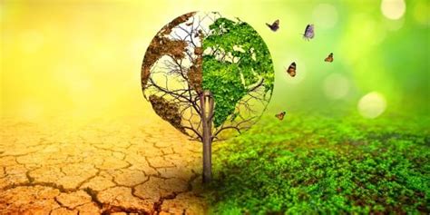 Thales Theorem Statement Proof Applications Converse