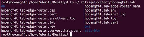 Lab For Beginners To Understand The Operations To Build A Zero Trust Network With Openziti