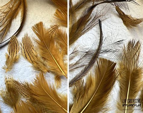 How To Color Feathers