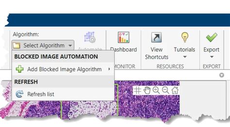 Label Large Images In The Image Labeler MATLAB Simulink