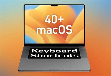 Master The Latest Macos Version With Essential Keyboard Shortcuts
