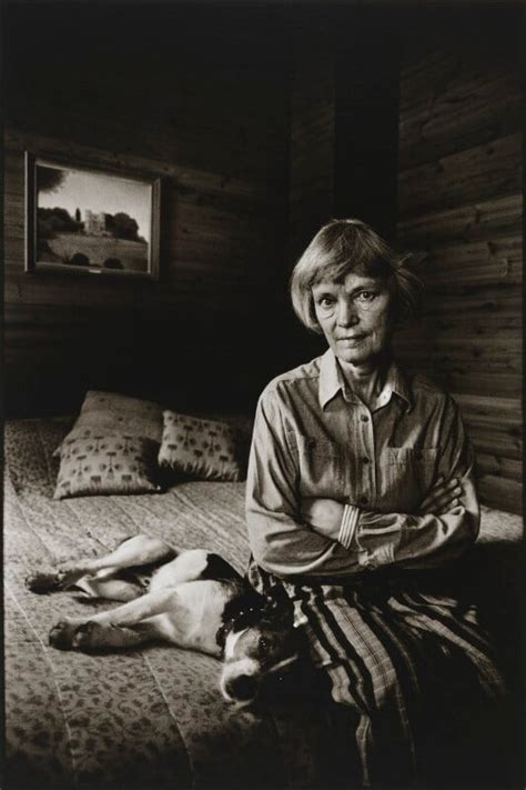 Npg P639 Isabel Colegate Portrait National Portrait Gallery