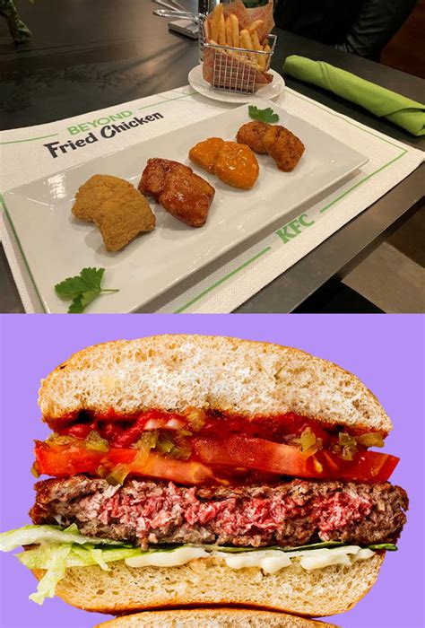 Fandb 인사이트 건강식 채식 Healty Food 시장의 변화 푸드인사이트