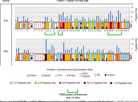 Figure 1 From Structural And Compositional Diversity Of Fibrillin Microfibrils In Human Tissues