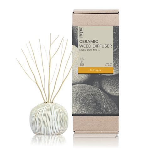 Ceramic Reed Diffuser 100ml Bsab