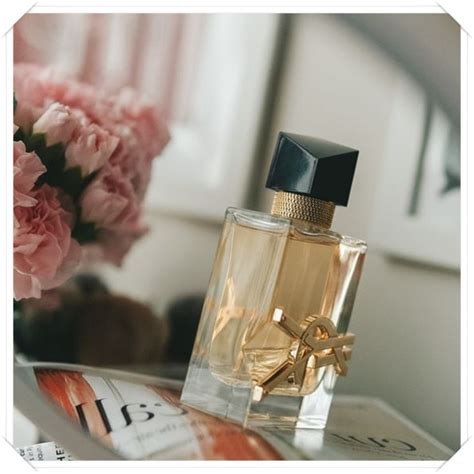 입생로랑 향수 몽파리 리브르 가격 40대 여자 백화점 명품 향수 추천 네이버 블로그