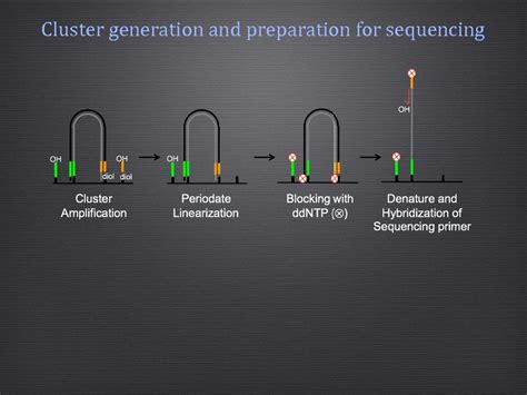 Next Generation Sequencing Why What How Marcel Dinger
