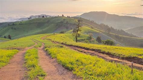 ปักหมุดด่วน แลนด์มาร์คการกางเต็นท์แห่งใหม่ ‘ทุ่งหญ้าสะวันนาบนยอดดอย