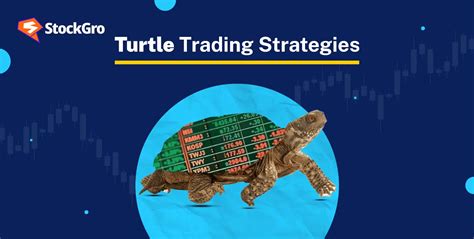 Turtle Trading Strategy And Rules Explained With Examples