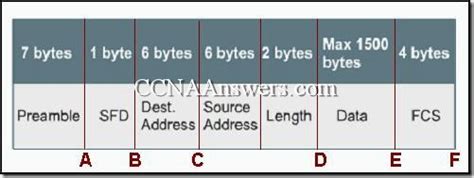 CCNA 3 Module 4 V3 1 Answers