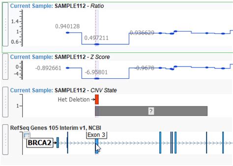 Using Vs Cnv To Detect High Quality Copy Number Variant Events The Golden Helix Blog