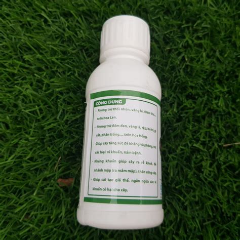 Ch Ph M Vi Sinh P Gror Ml Thi T B Nh V N