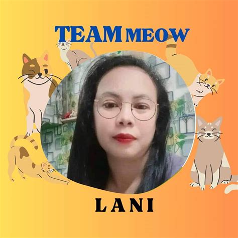 For Entertainment Only Funnyvideos Funnyreelsvideo Teammeow