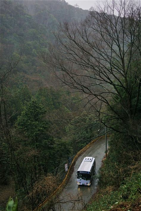 横山上横山 狭隘路線バスの先へ