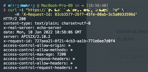 Bug Request Id Plugin Overwrite X Request Id Already Present In The Request · Issue 6066